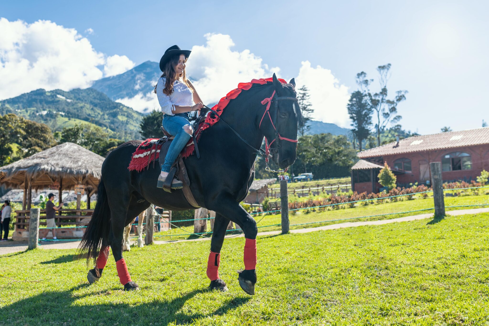 Que Hacer? - Animal Park